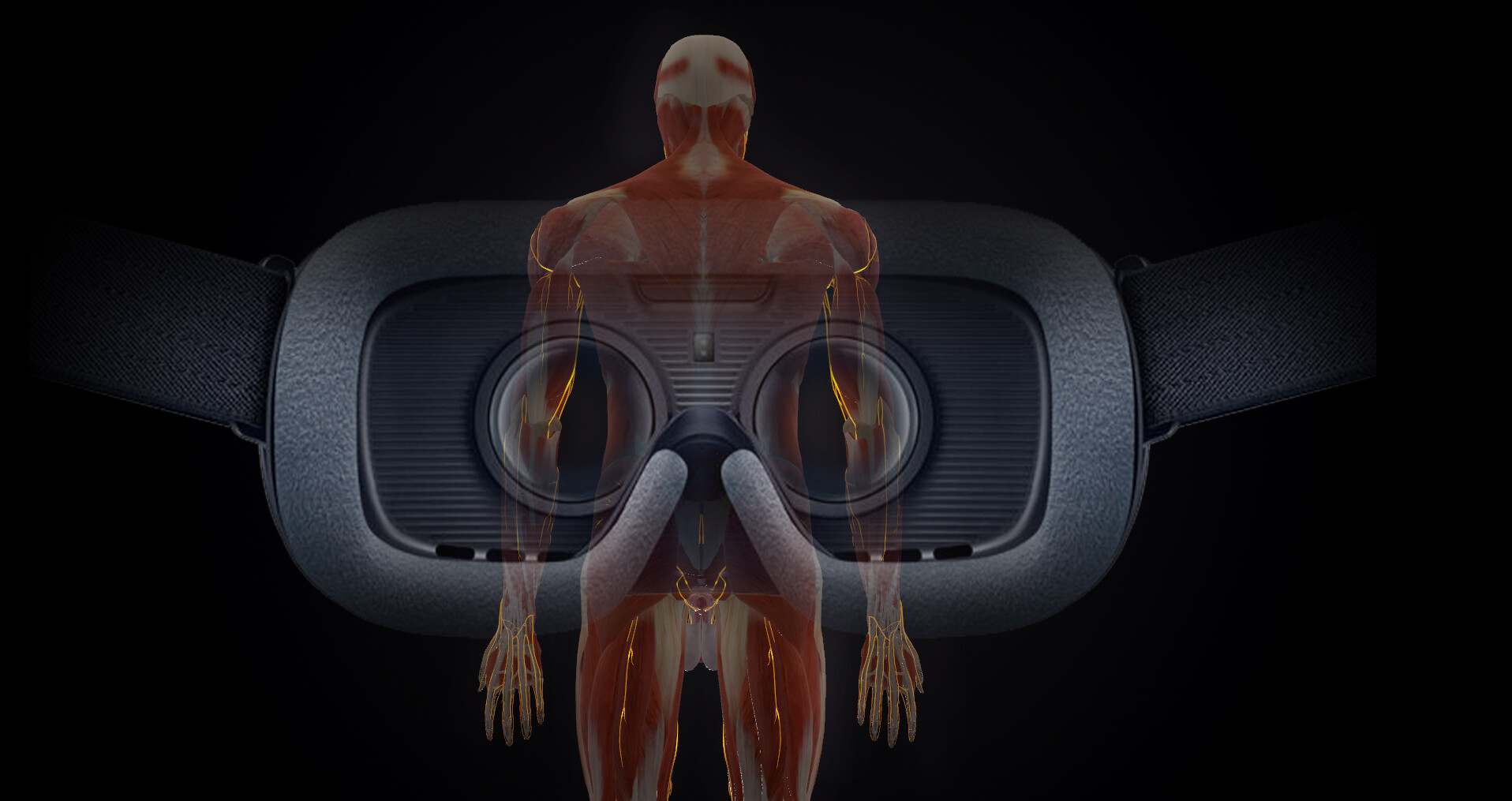 BODYMAP | VR medical
