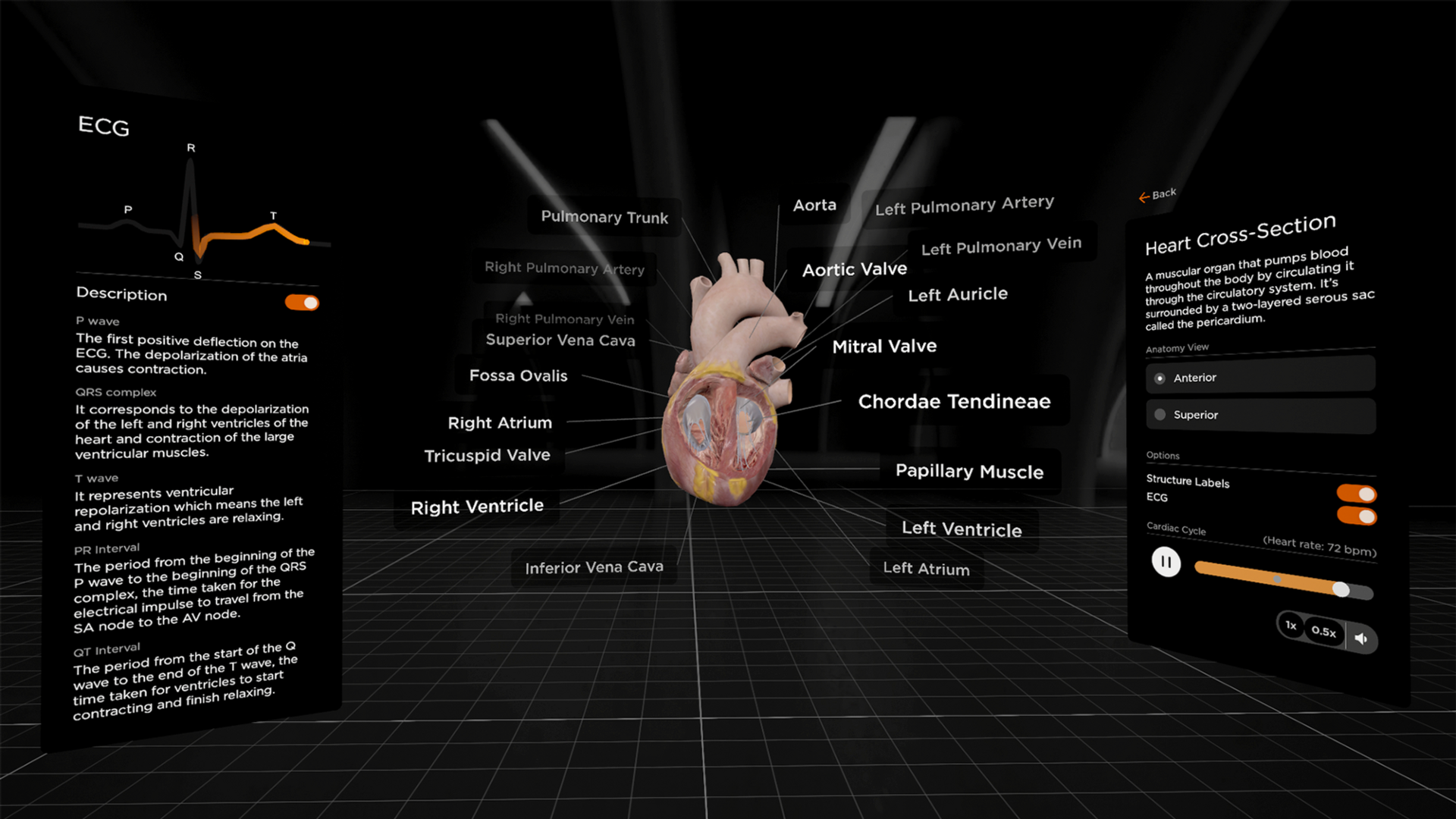 【VR医療教育や解剖学で話題】BodyMap3.31がバージョンアップ！ポイントを徹底解説 | VR medical